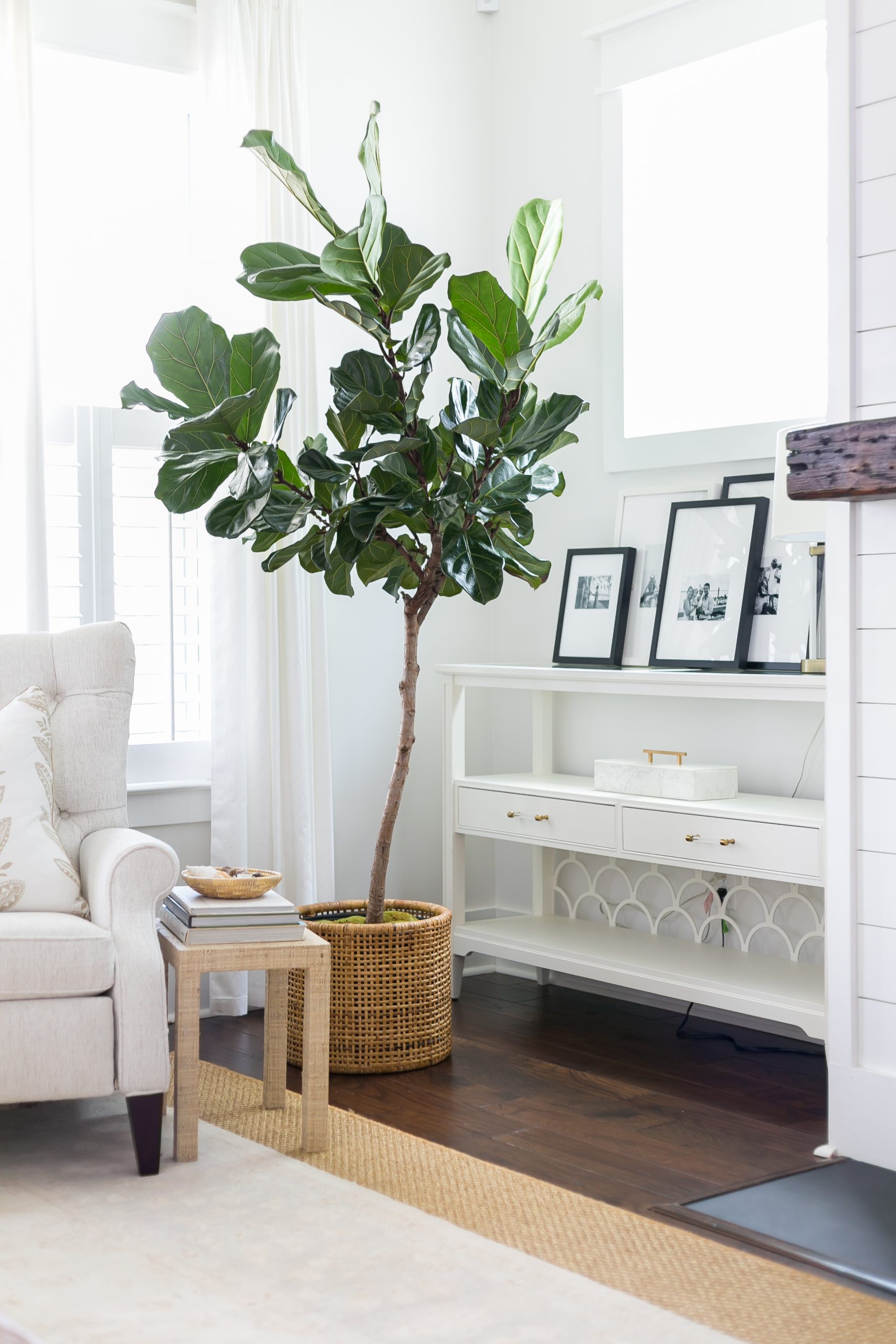 Favorite Things with Megan Stokes - Charleston Home + Design Magazine ...